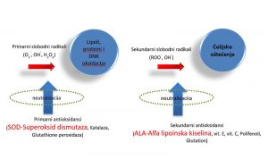 CombiNERV | Vemax Pharma