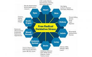 CombiNERV | Vemax Pharma