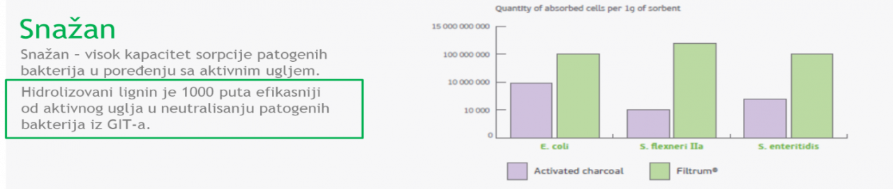 Filtrum | Vemax Pharma