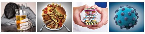 Hepalife™ | Vemax Pharma