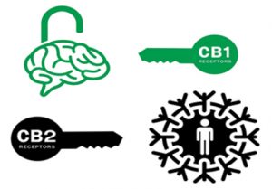 EpiNeuron® | Vemax Pharma