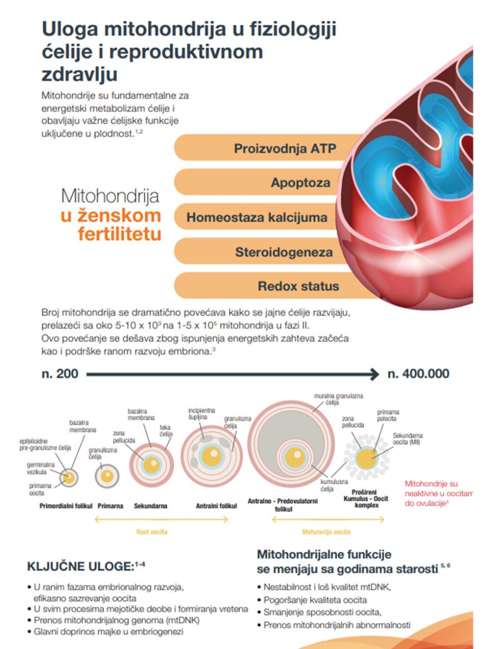 Genante | Vemax Pharma