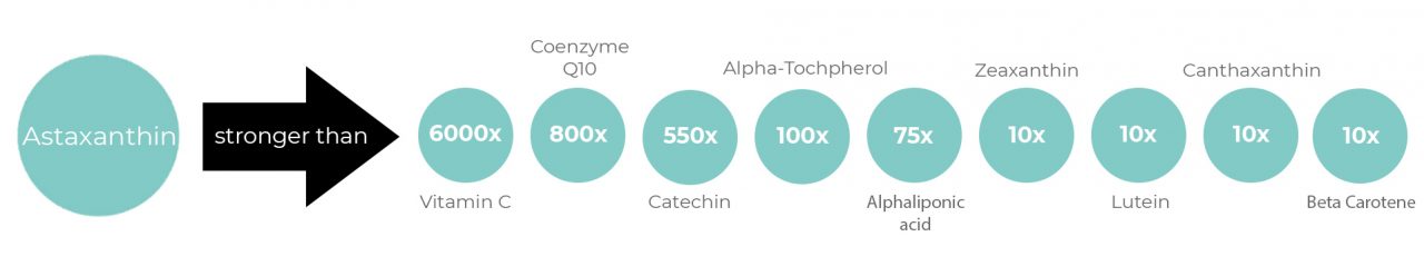Cerebronal | Vemax Pharma