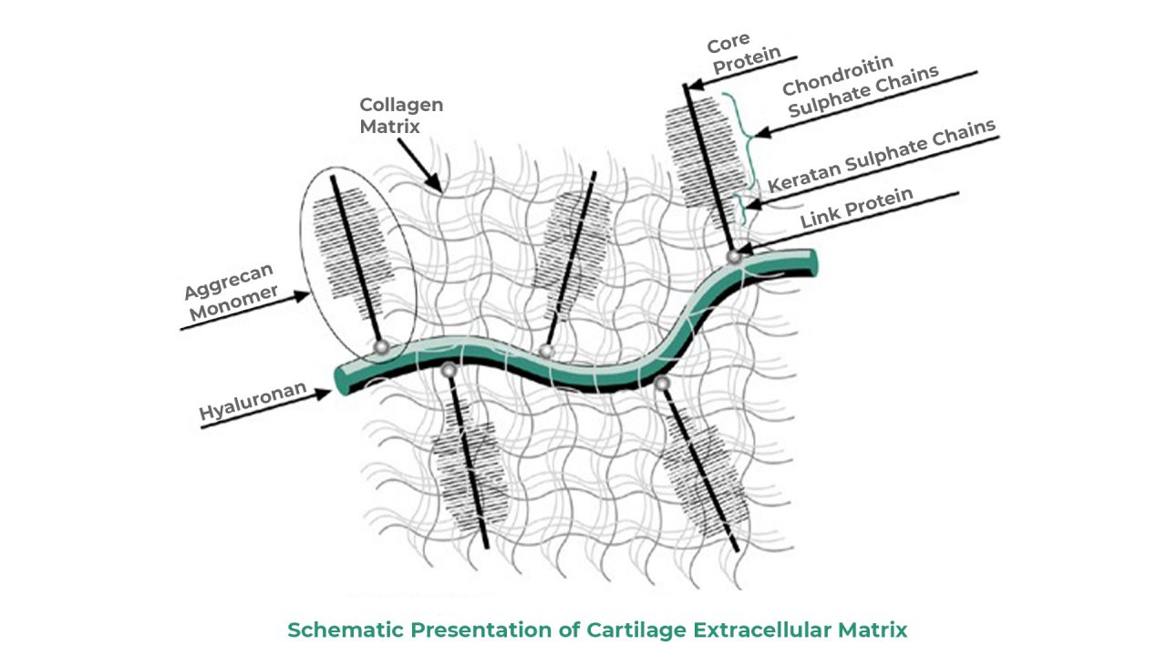 CombiMax | Vemax Pharma